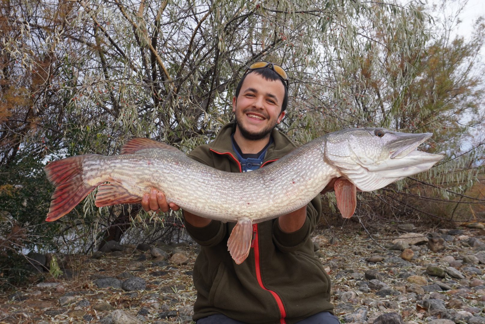 Mejores lugares para pescar lucios en España - Ribera Fishing