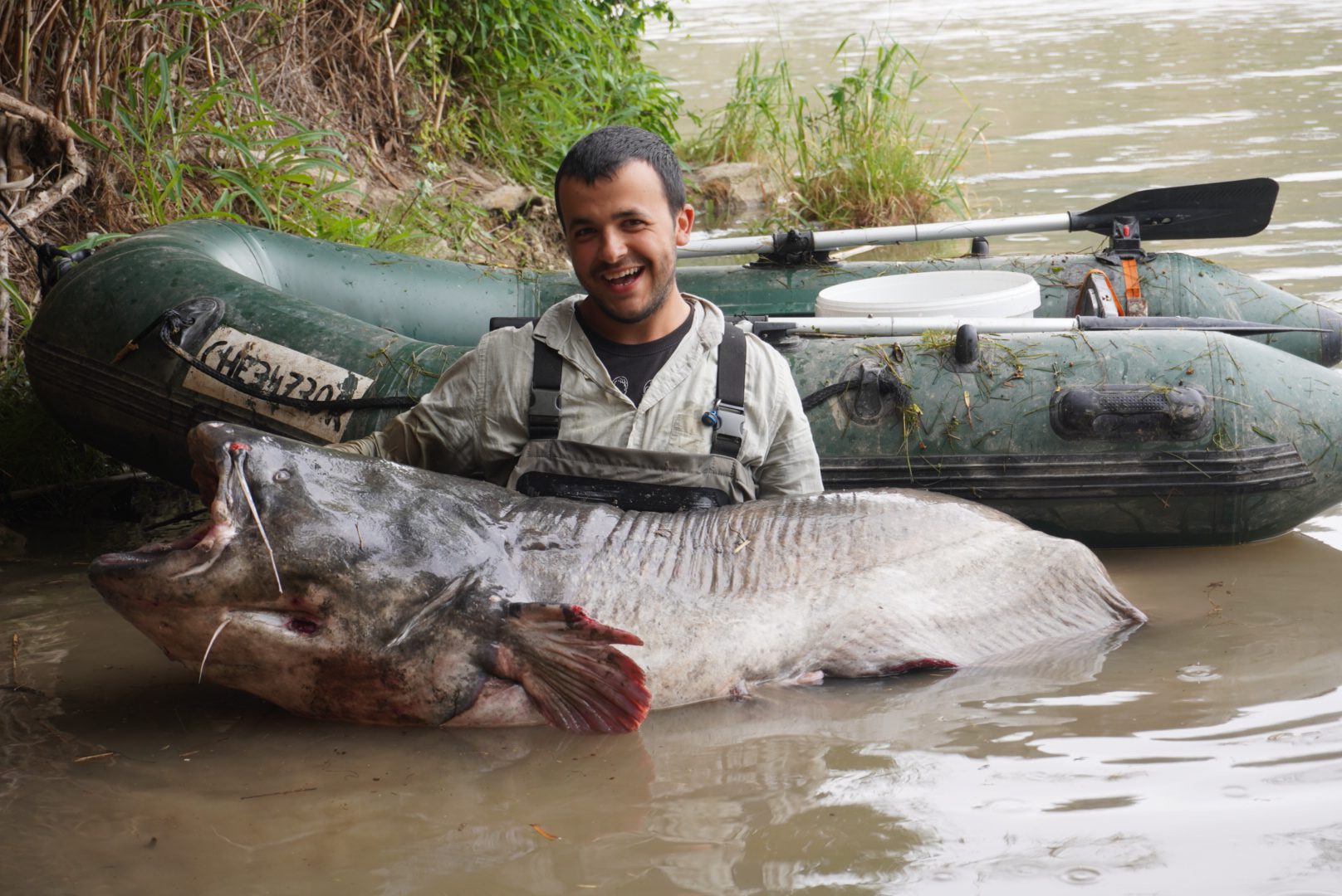 La historia de la pesca del siluro en España - Ribera Fishing