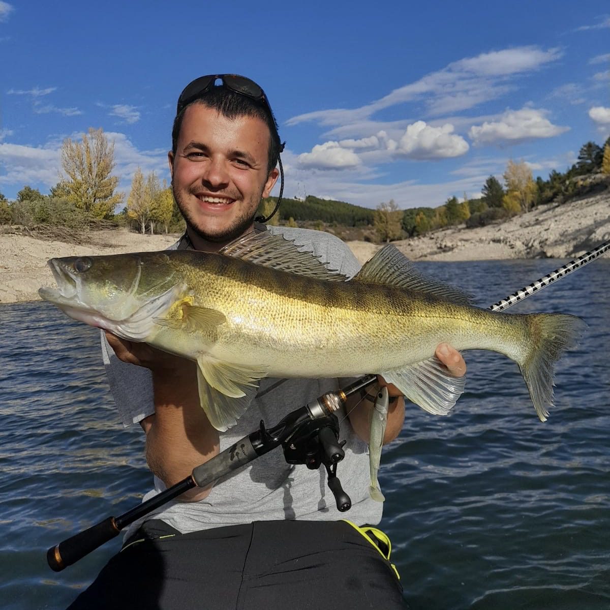 Historia de la pesca de la lucioperca en España - Ribera Fishing