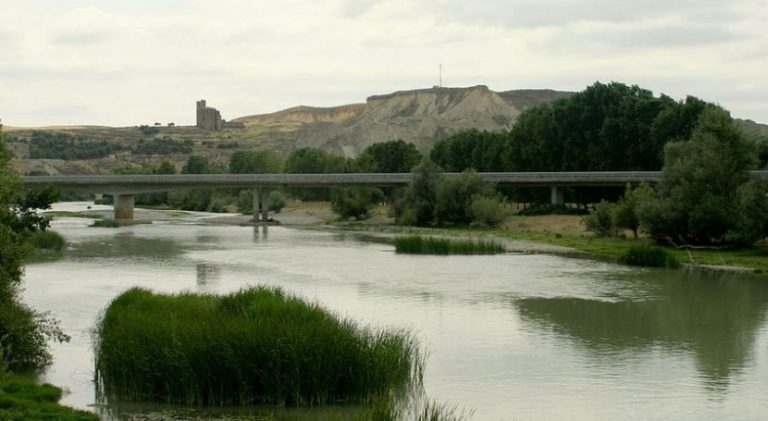 Ribera Fishing – El rincon de la pesca deportiva en España